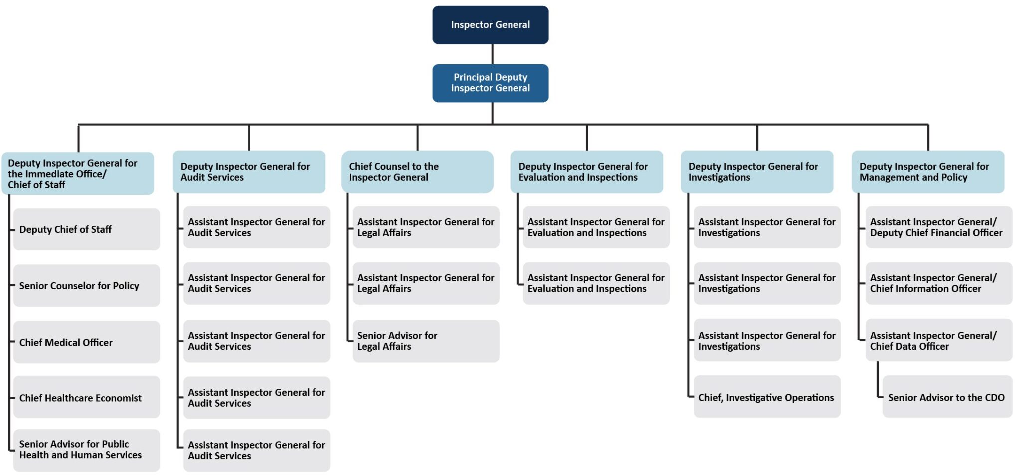 What is OIG in Healthcare?